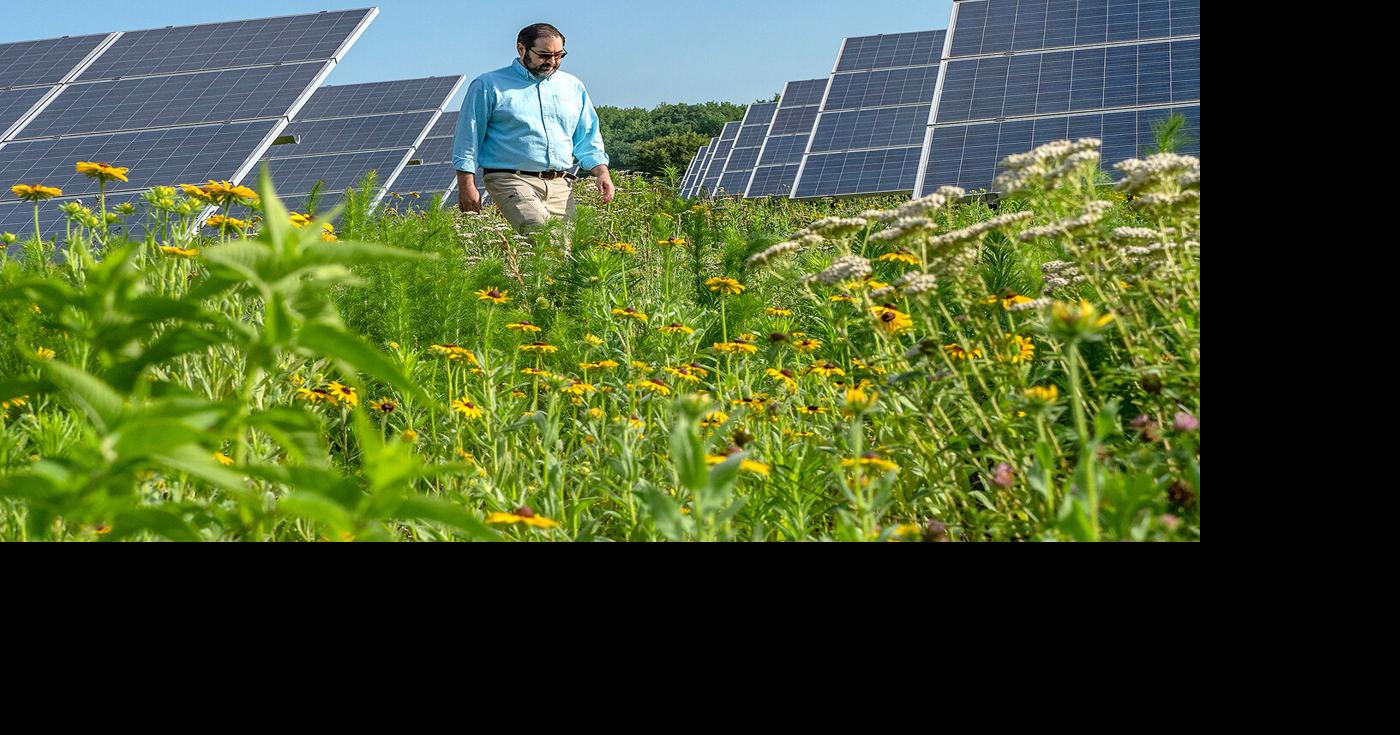 Solar siting in Maryland generates friction, threatening climate goals ...
