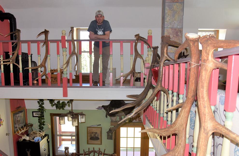 Shedding light on the antler craze in Pennsylvania elk country | Travel ...