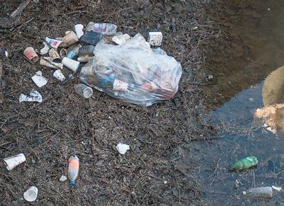 plastic bag pollution articles