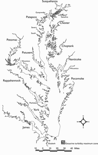 sediment pollution drawing