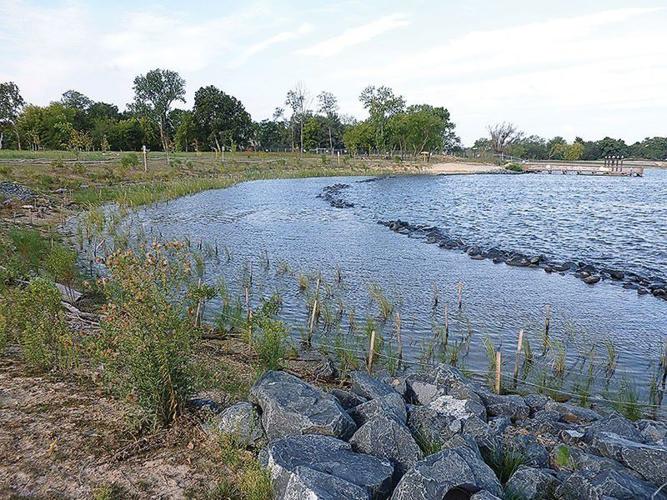 Bird-loving Baltimore putting out welcome mat for feathered visitors ...