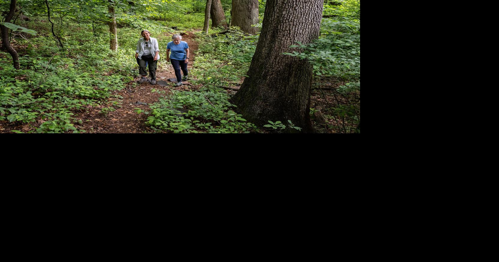 Baltimore’s forgotten forest, an emerald in the rough | Chesapeake Born ...
