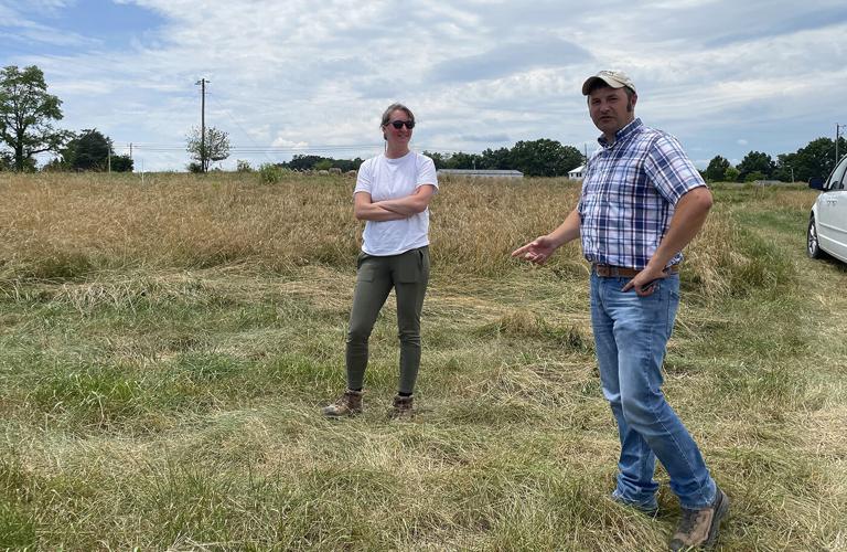 Why reducing farm pollution in the Chesapeake Bay region is a complex ...