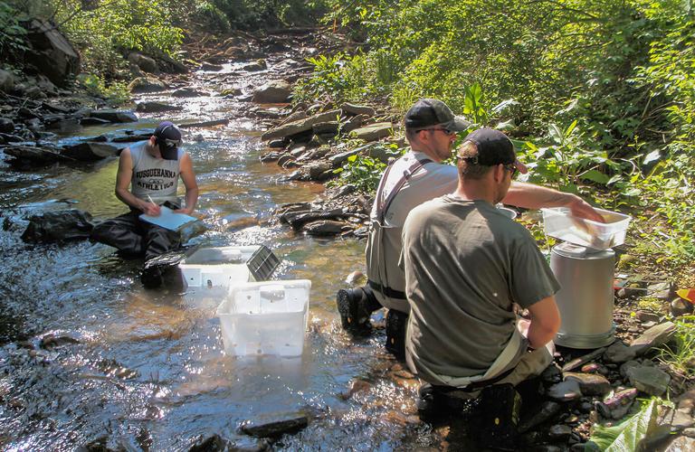 Susquehanna River Basin Commission marks 50 years | Pollution ...