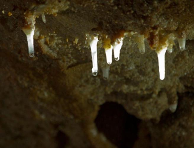 Many are in the dark about importance of caves to water quality ...