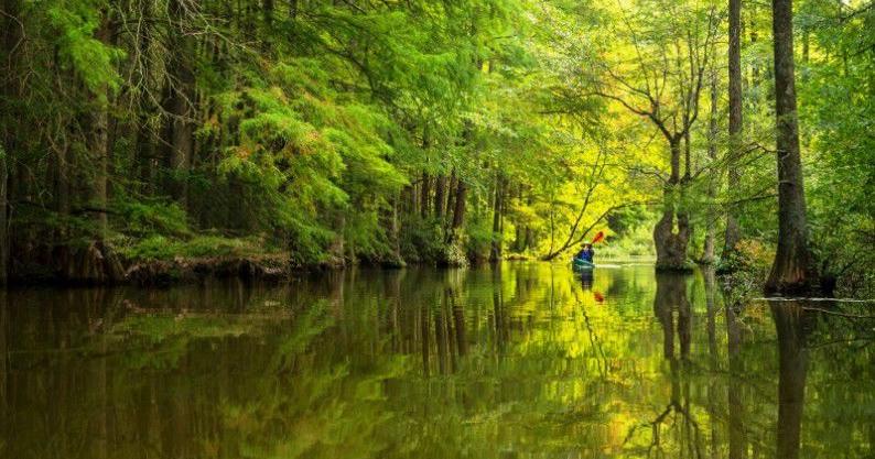 Pond paddle provides lovely setting for photos | Blogs | bayjournal.com