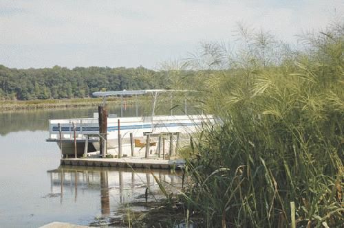 Jug Bay Natural Area highlights ties between humans, wetlands | Travel ...