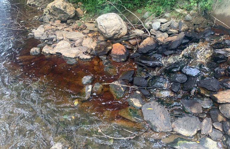‘Forever chemicals’ found in more than a dozen waterways in Chesapeake ...