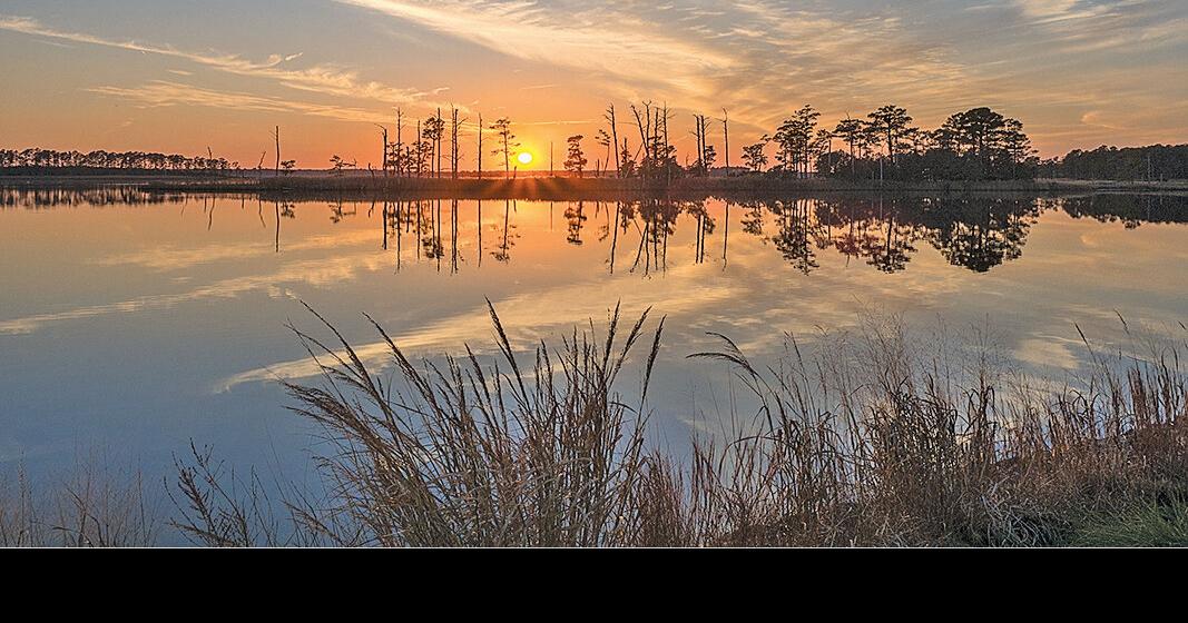 Chesapeake Bay dreaming and the meaning of life | Chesapeake Born ...
