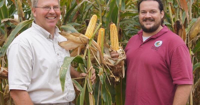 World record-breaking corn yields in Virginia? | Blogs | bayjournal.com