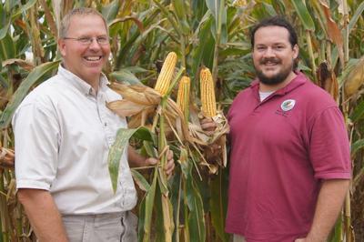 World record-breaking corn yields in Virginia? | Blogs | bayjournal.com