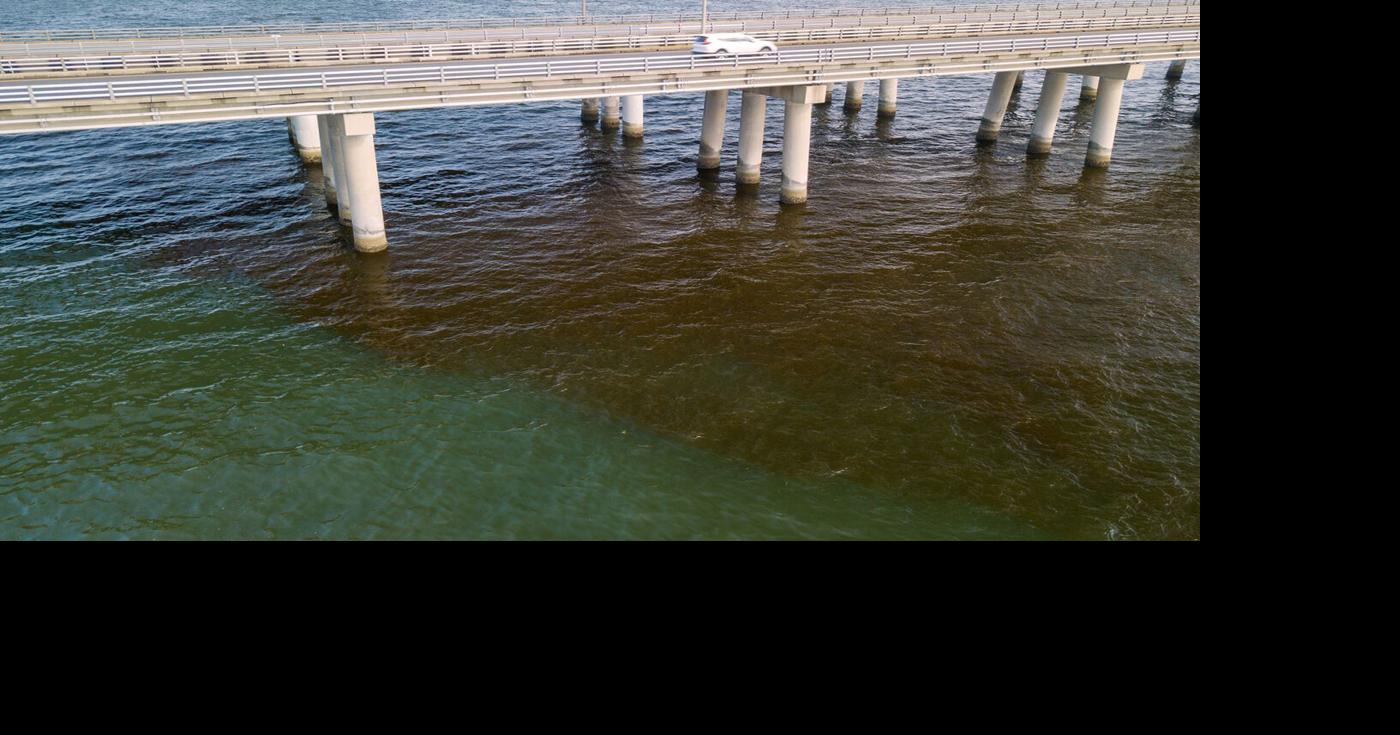 New tech ‘incubator’ aims to control algal blooms | Pollution ...