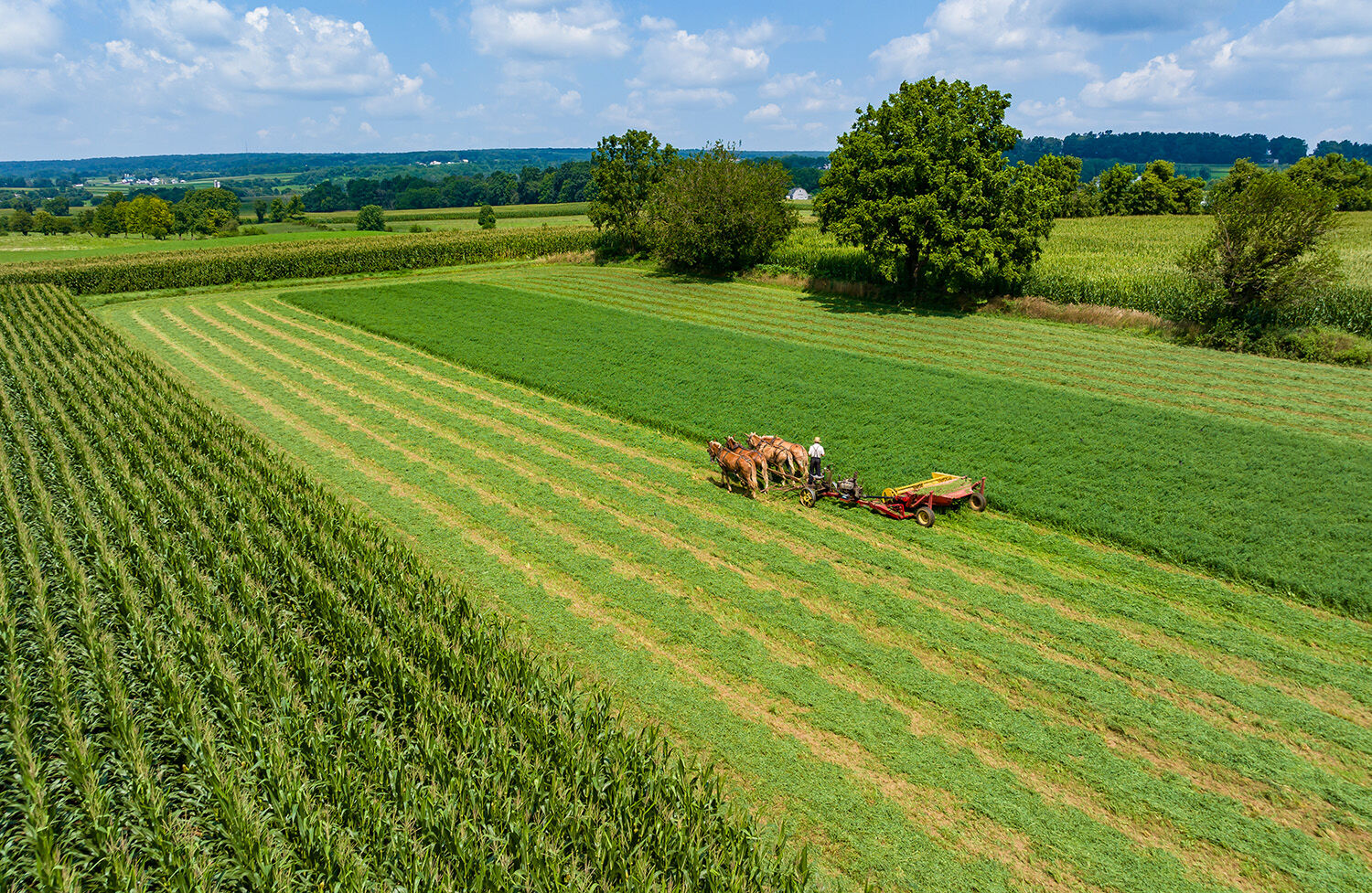 Pennsylvania county set to reach 125,000 acres of preserved farmland ...