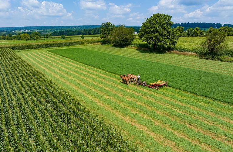 Pennsylvania county set to reach 125,000 acres of preserved farmland ...