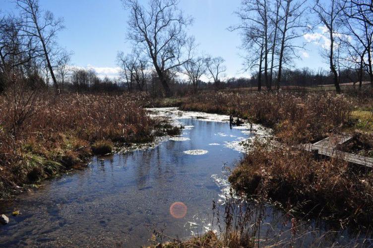 D.C. chefs hunt partridge, get conservation lesson at Virginia farm ...