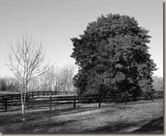 Wye Island Natural Resources Management Area a hidden haven for ...
