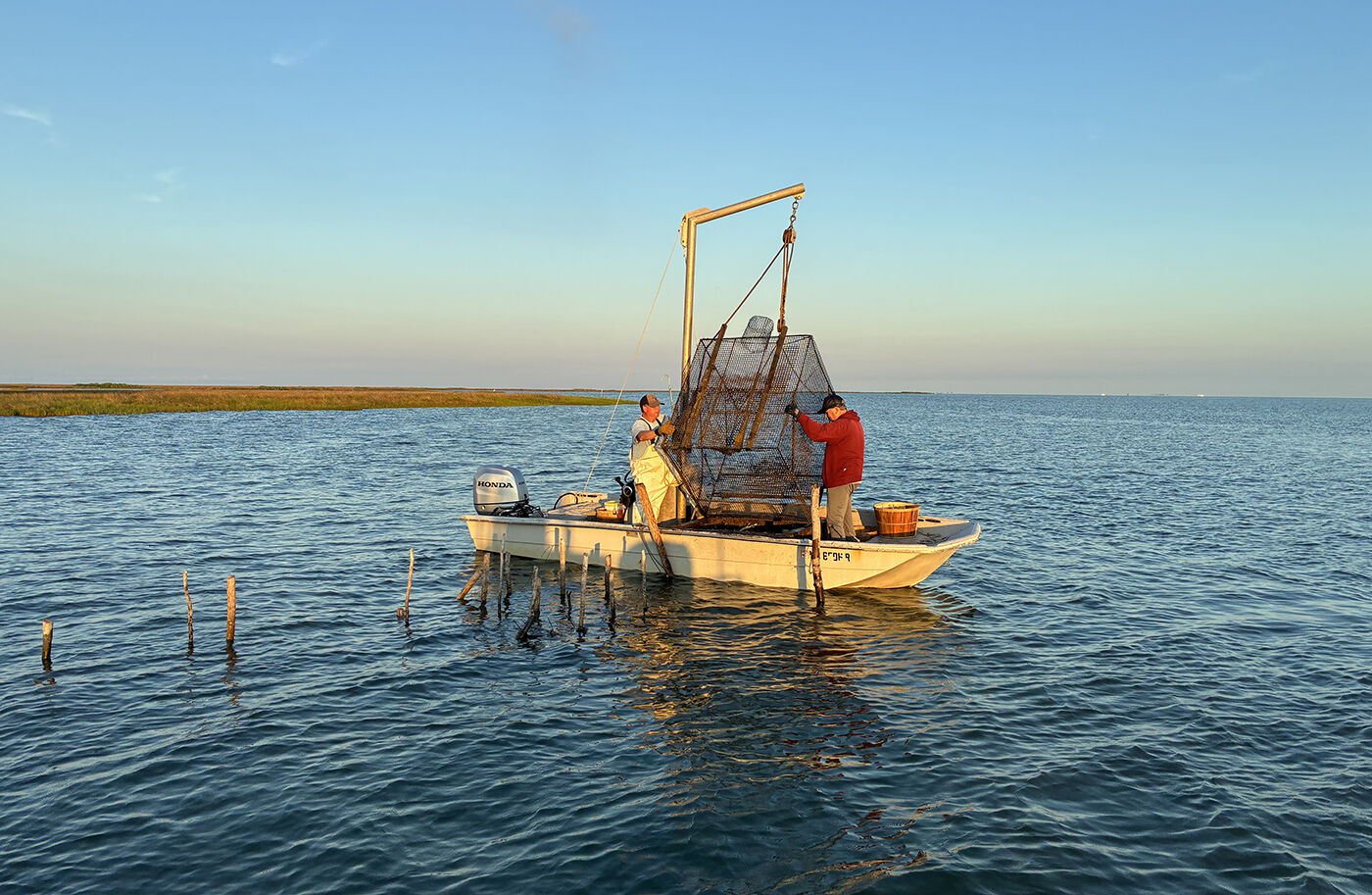 Working the bank traps, a crabbing technique known by few | Chesapeake ...