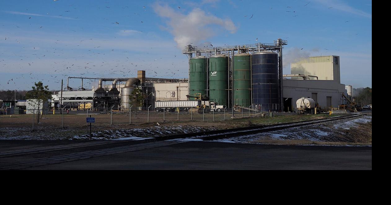 Maryland orders chicken rendering plant shut down | Pollution ...