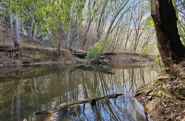 Bacteria from septics, agriculture pollute Hardware River | Pollution ...