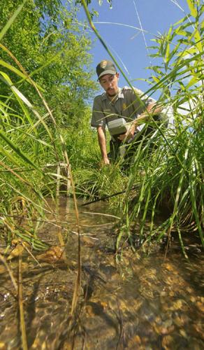 Battlefields showcase natural as well as military history | Travel ...