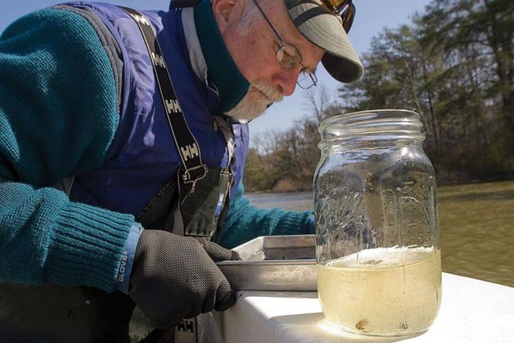 Mattawoman watershed at a tipping point | Growth & Conservation ...