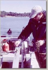 Pontoon-tractor could help pick up pace of grass restoration ...