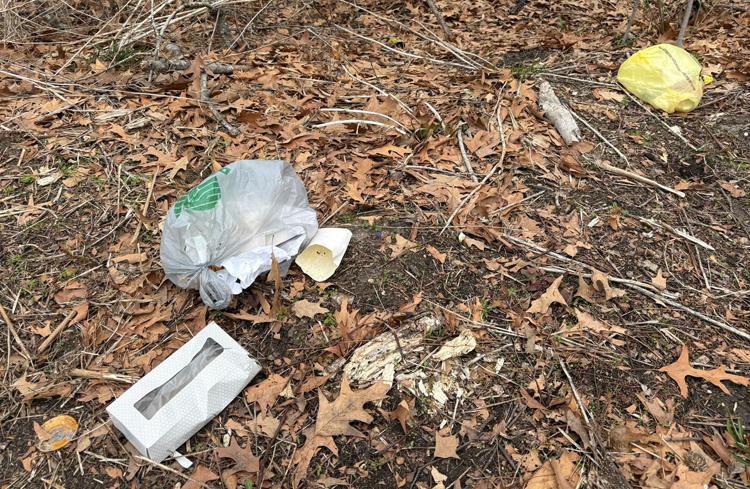 Virginia cities push bag tax to keep plastic out of waterways ...