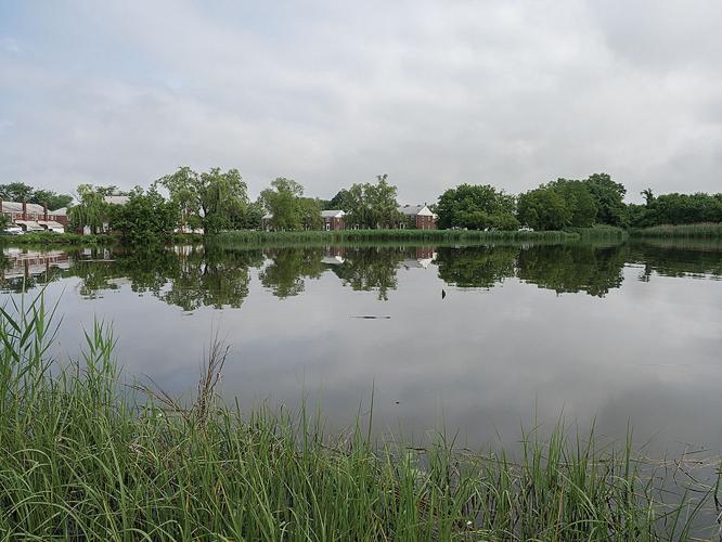 MD Port Administration gives $500,000 to revive community waterfront ...