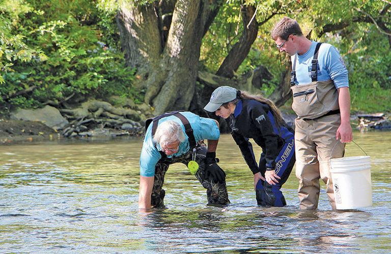 Students bent on making hellbender PA’s state amphibian | Wildlife ...