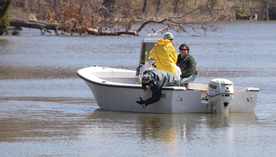 Mattawoman watershed at a tipping point | Growth & Conservation ...