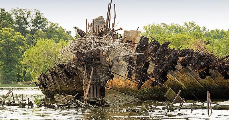 Plan floated for Mallows Bay national marine sanctuary | Growth ...