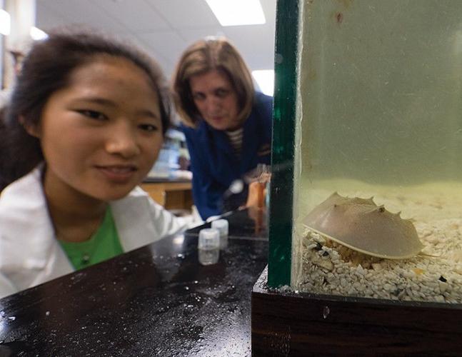 High school students in college-level lab take on Bay-size studies ...