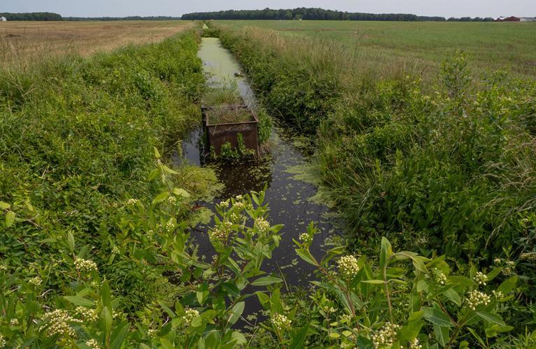 Study aims for reality check on nutrient runoff from farms | Policy ...