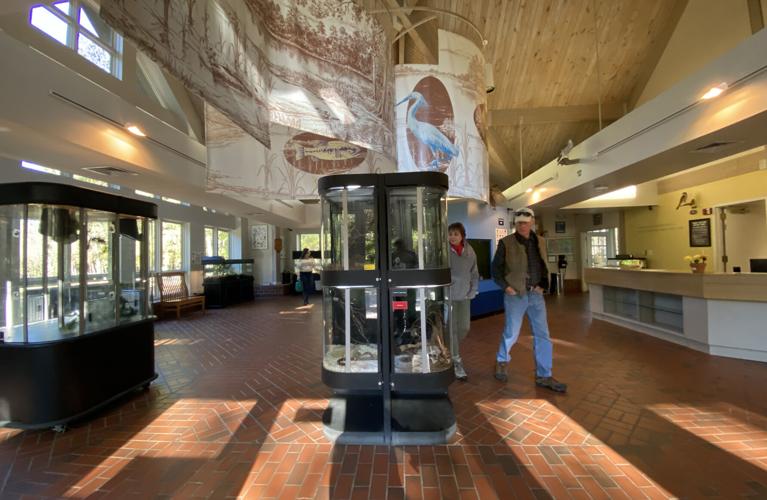 For an escape from suburbia, Sandy Bottom Nature Park is tops | Travel ...