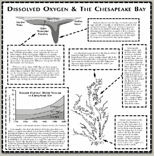 Chesapeake’s problems piling up on its benthic organisms | Archives ...