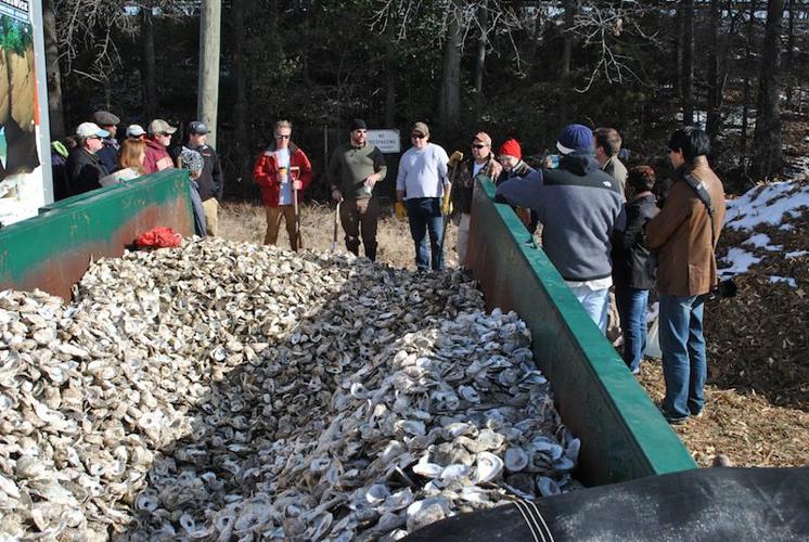 Moving 12,000 pounds of oyster shells | Blogs | bayjournal.com