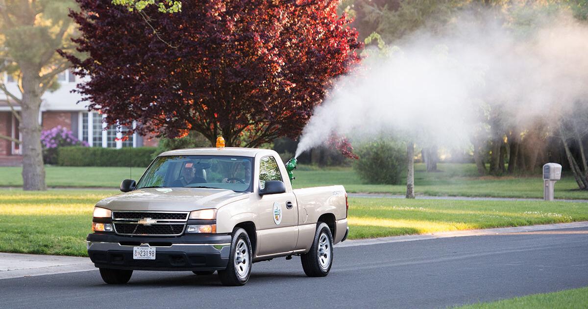 ‘Forever chemicals’ found in mosquito spray | Pollution & Solutions ...
