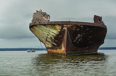 Mallow's Bay heading for national sanctuary status by year's end ...