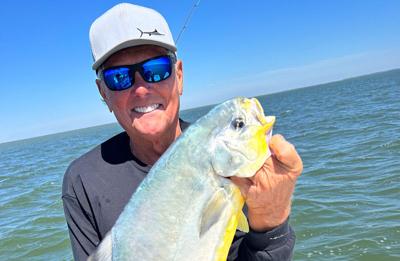 Warming waters bring new ‘tropical visitors’ to the Bay | Climate ...