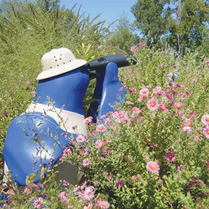 Jug Bay Natural Area highlights ties between humans, wetlands | Travel ...