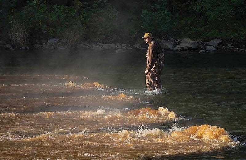 Maryland sues paper mill for Potomac River pollution | Pollution ...