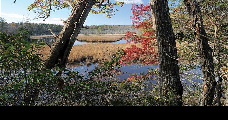 Preserve walks celebrate VA Natural Heritage Program's 30th year ...