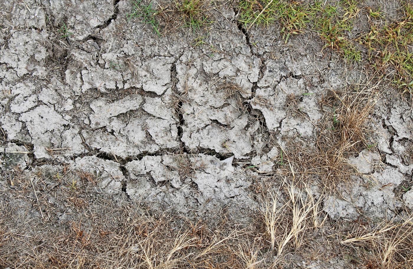 Salt patches, a product of rising seas, are spreading rapidly on the ...