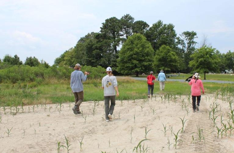 Salt patches, a product of rising seas, are spreading rapidly on the ...