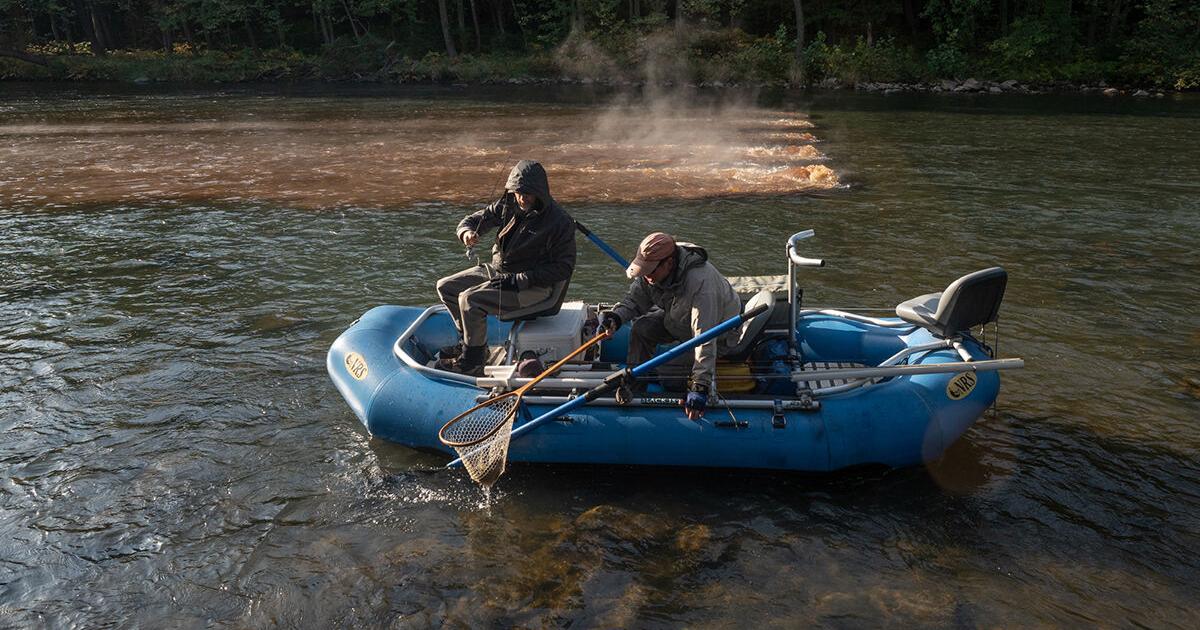 Luke paper mill could restart, pollution threat to Potomac | Fisheries ...