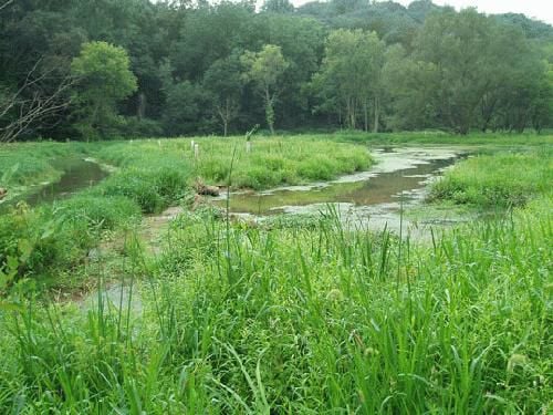 Legacy sediments may pose threat to Bay cleanup | Pollution & Solutions ...