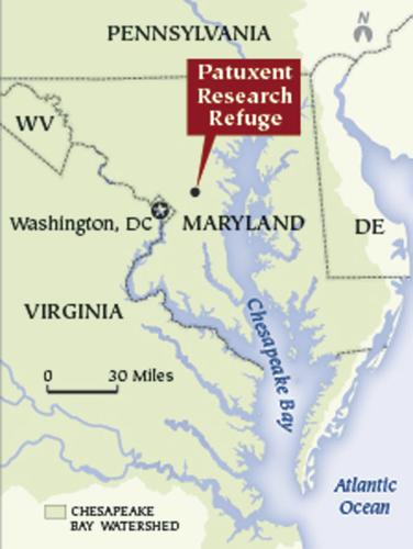 Visitors learn it’s all about the wildlife at Patuxent Research Refuge ...