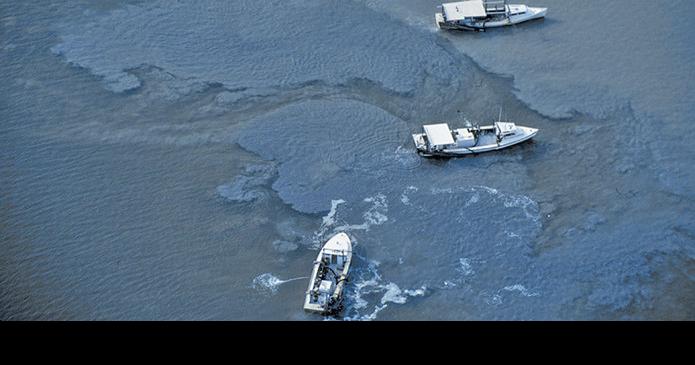 Growing tension marks simultaneous uptick of clam dredging, Bay grasses ...