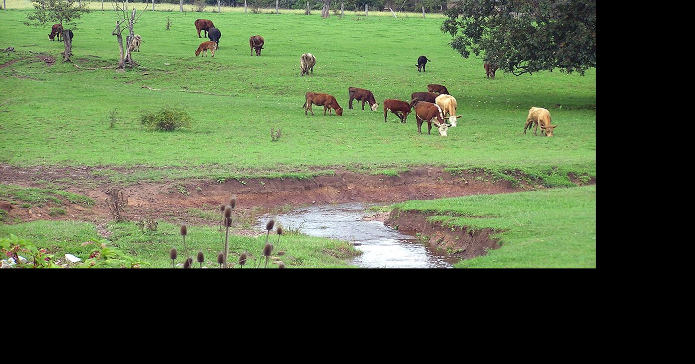 To reduce farm pollution, make it about results, not practices | Forum ...