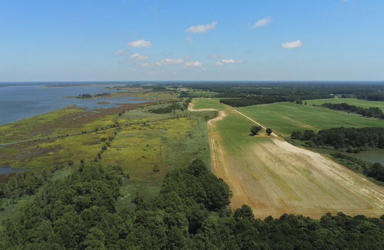 Salt patches, a product of rising seas, are spreading rapidly on the ...